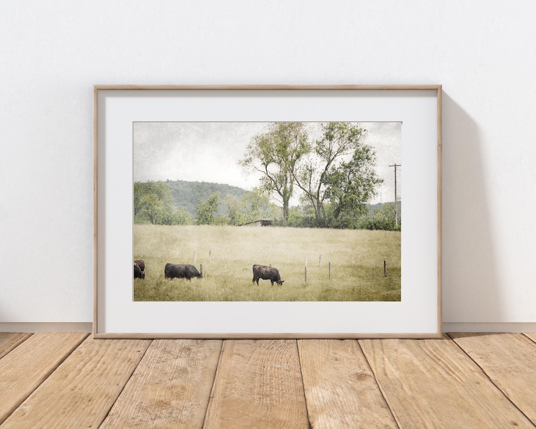 Farm Photography Print, Rustic Farmhouse Decor, Farm Animals, Cow Art ...