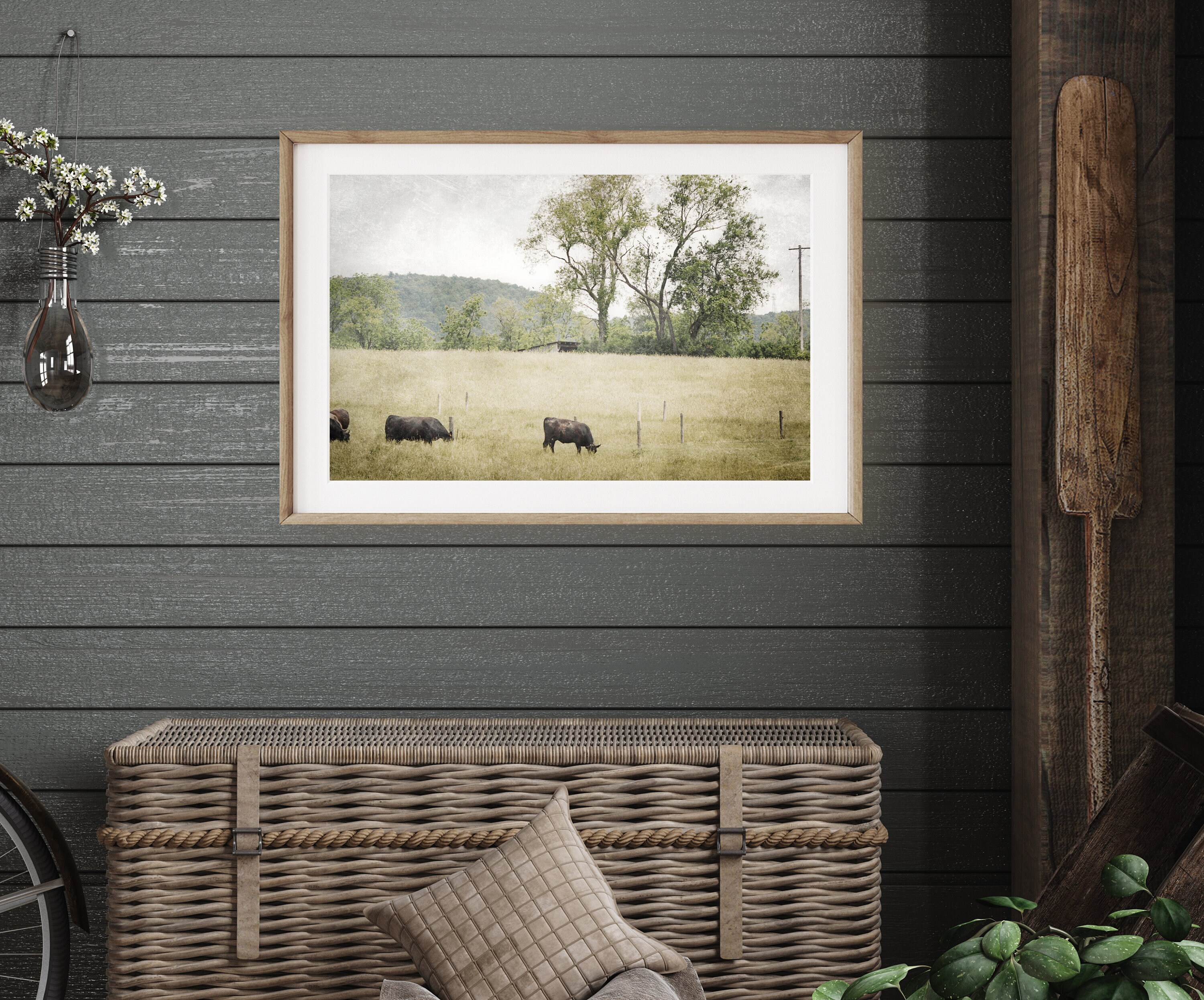 Farm Photography Print, Rustic Farmhouse Decor, Farm Animals, Cow Art ...