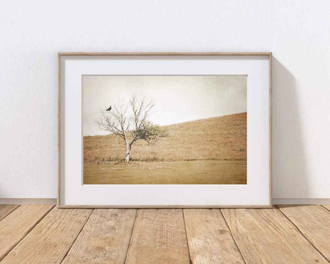 Tree Photography Print, Rustic Farmhouse Decor, Fall Foliage, Black ...