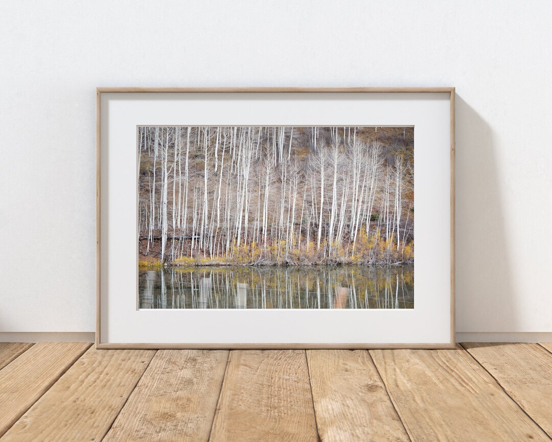 Aspen Trees Photography Print, Rustic Lodge Art, Lake Art, Home Decor ...