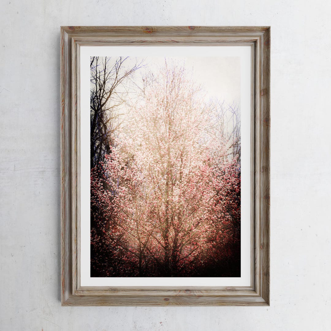 Pink Tree Photography Print, Farmhouse Decor, Home Decor, Forest Art ...