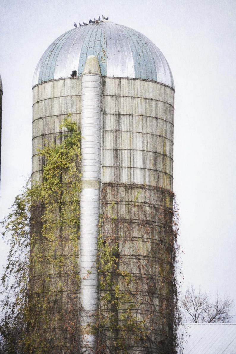 Barn Photography Prints, Set of 4 Photos, Farmhouse Decor, Rustic Home ...