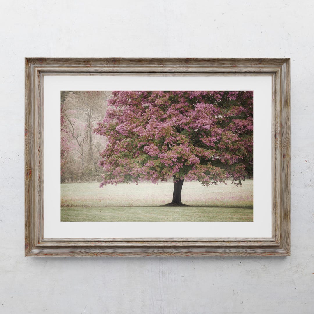 Pink Tree Photography Print, Farmhouse Decor, Home Decor, Woodland Fog ...