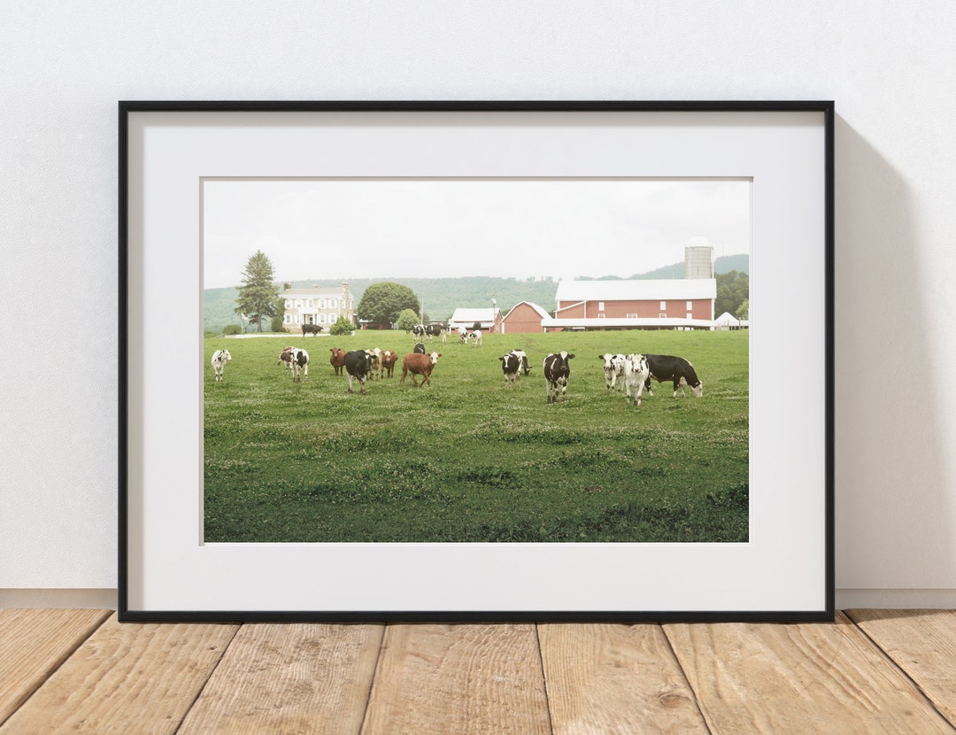 Farm Animals Photography Print, Rustic Farmhouse Decor, Red Barn Art ...