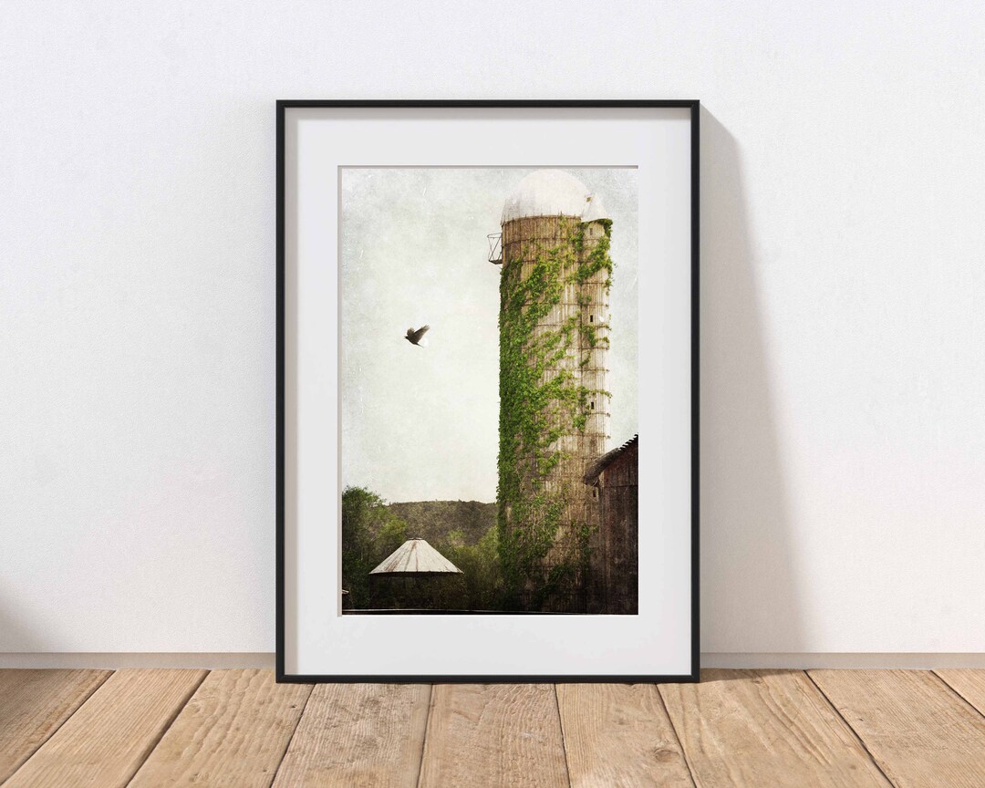 Barn Silo Photography Print, Rustic Farmhouse Decor, Home Decor, Ivy ...