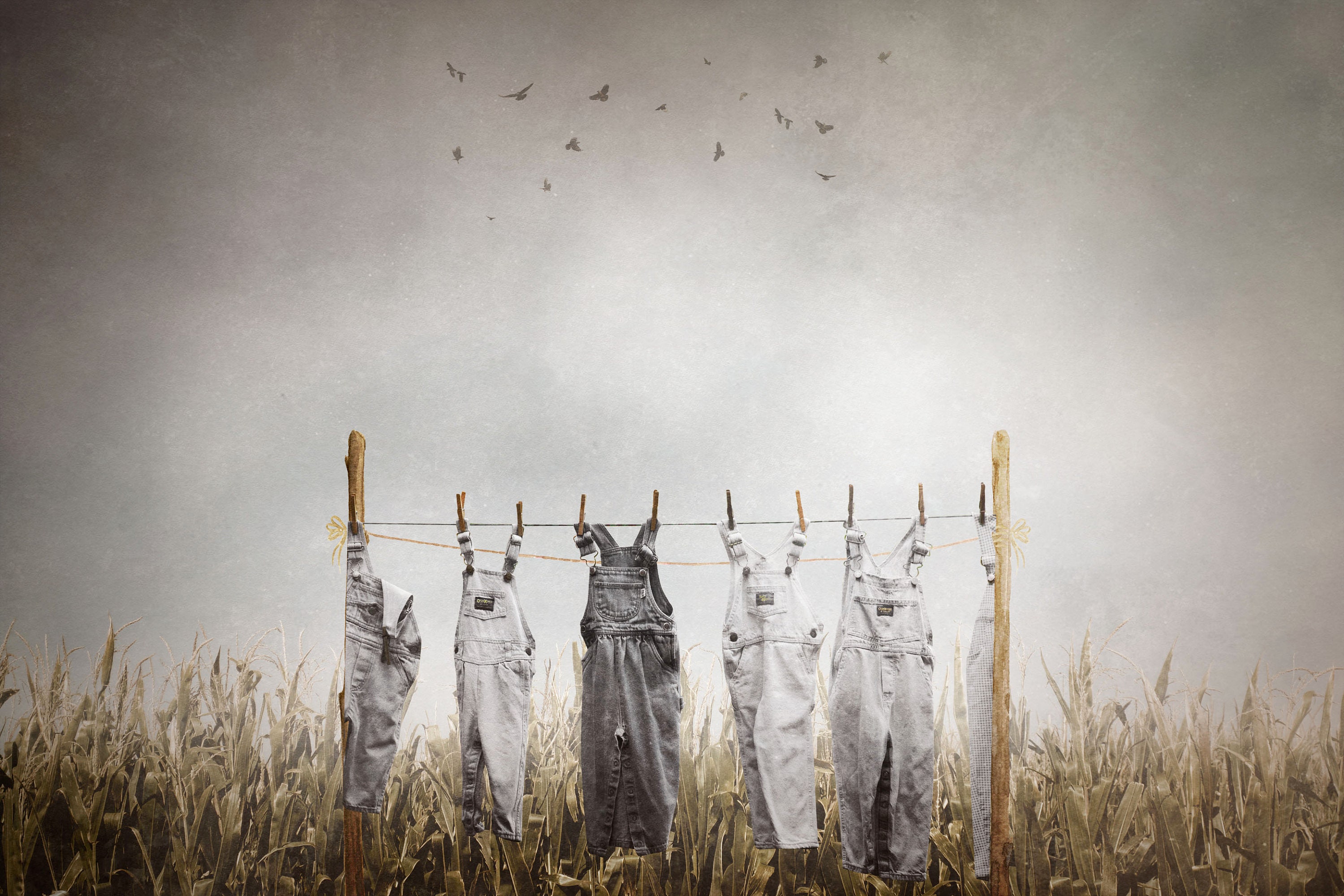 Laundry Photography Print, Farmhouse Decor, Clothesline Art, Vintage ...