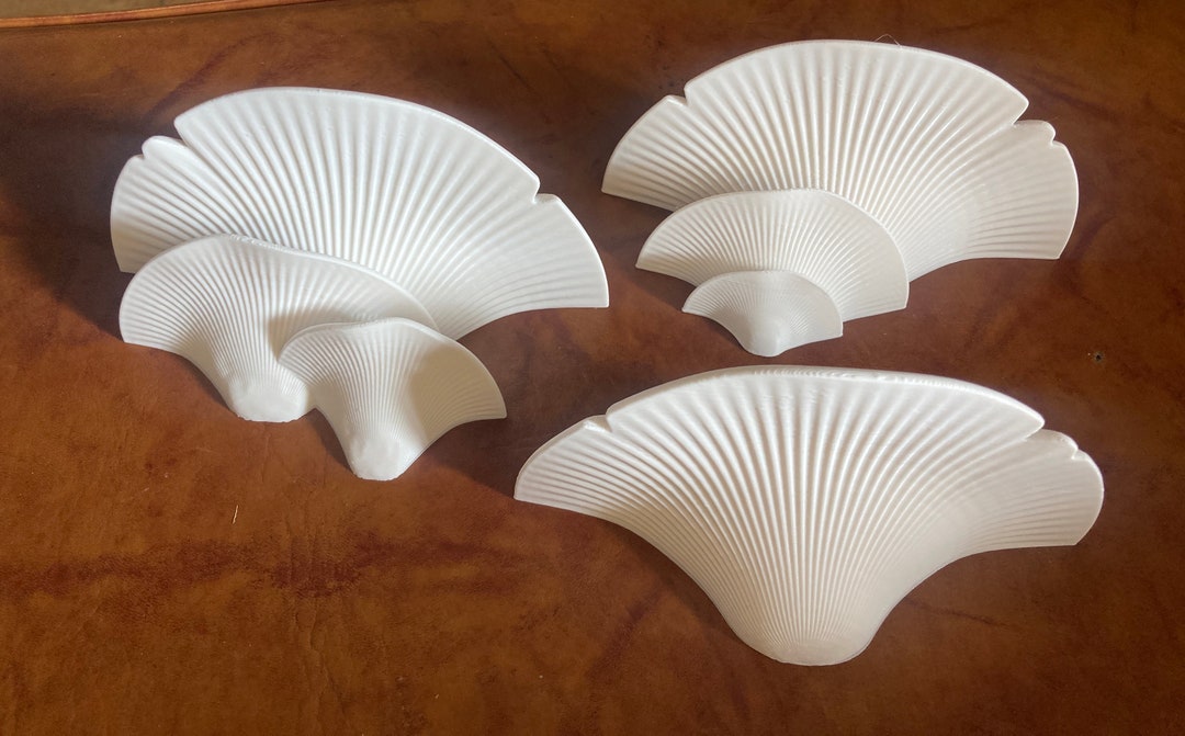 Set of 3 Floating Fungi: 3D Printed Mushroom Shelves/different Colors ...