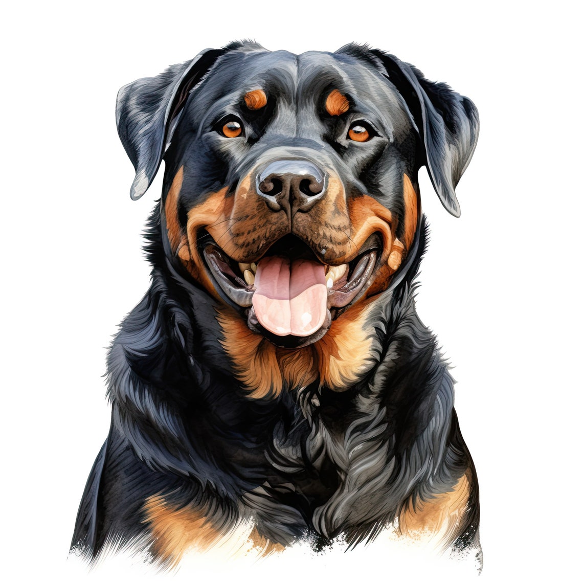Rottweiler Clipart. 10 High Quality Jpgs on WHITE Background. Digital ...