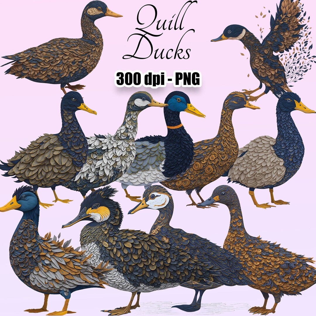 Quill Ducks Clipart, Animal Clipart, 21 Clipart Bundle, Bird Clipart ...