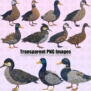 Quill Ducks Clipart, Animal Clipart, 21 Clipart Bundle, Bird Clipart ...