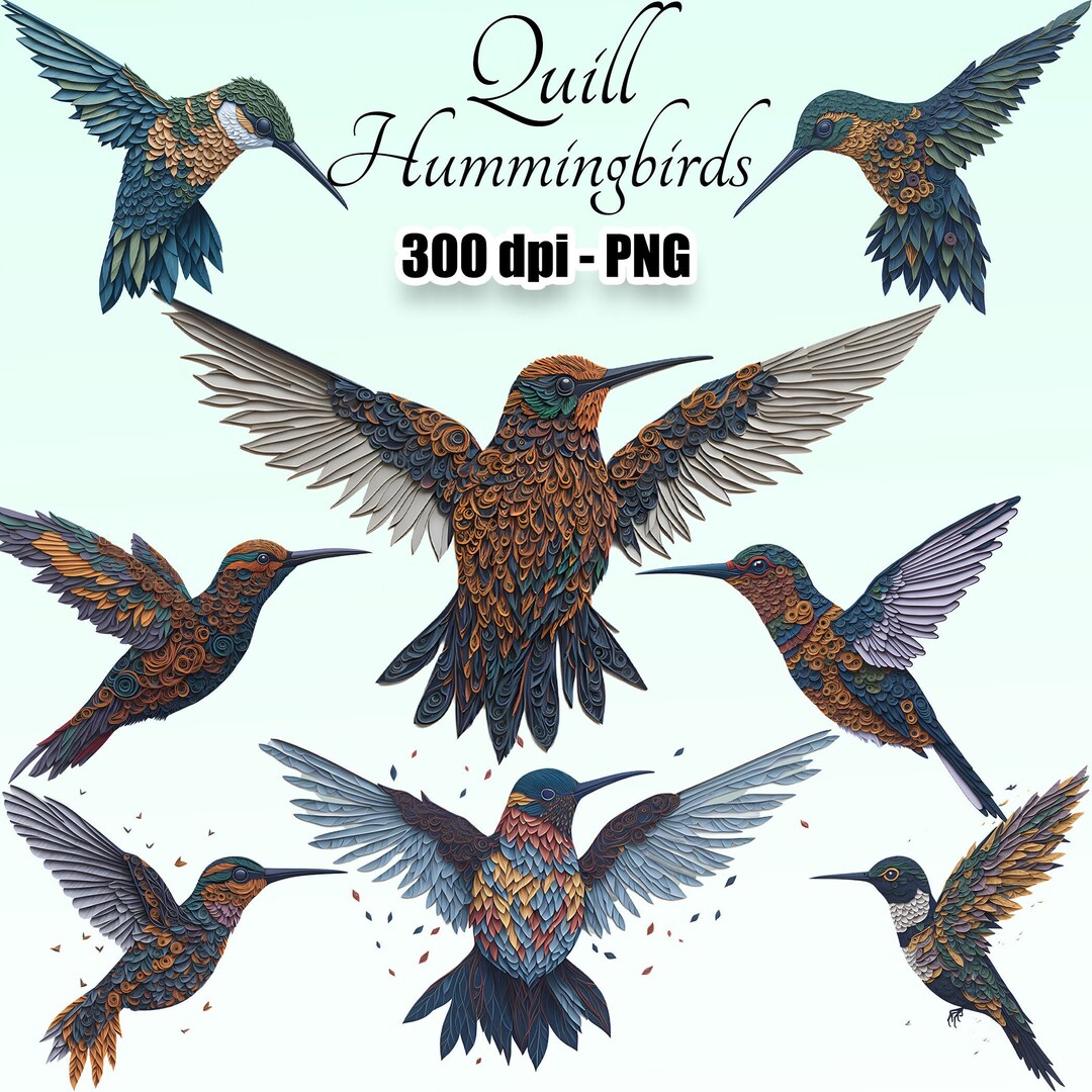 24 Quill Hummingbirds Clipart, Clipart Bundle, Bird Clipart, Animal ...