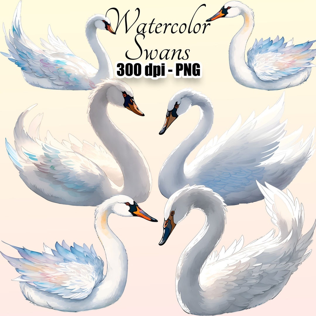 Watercolor Swans Clipart, 17 Beautiful Swan Clipart Bundle, Bird ...