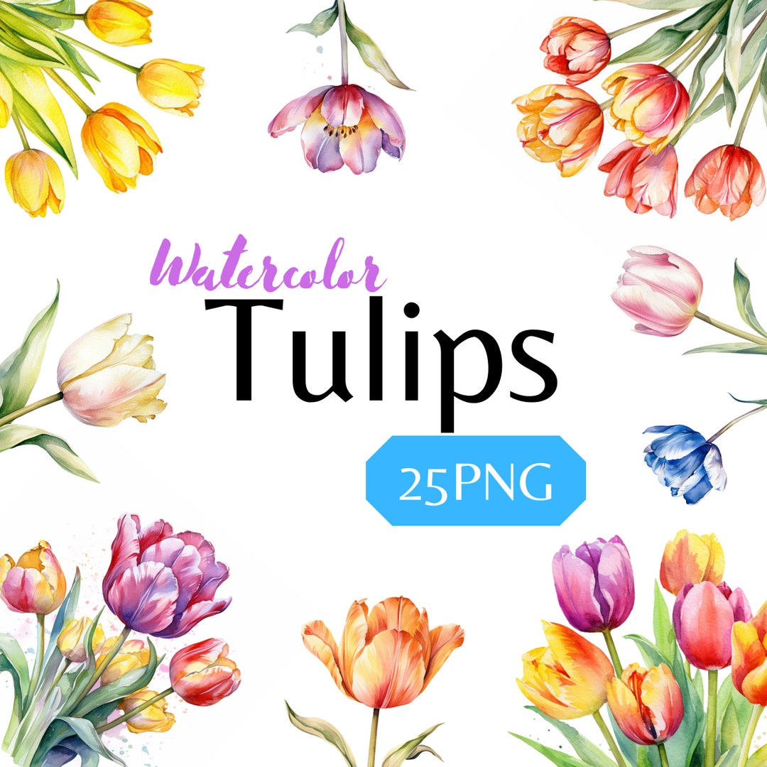 Watercolor Tulip Clipart Bundle: Spring Floral PNG Graphics (25 Files ...