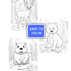 Printable Forest Animals Coloring Pages for Kids, Toddlers Coloring ...