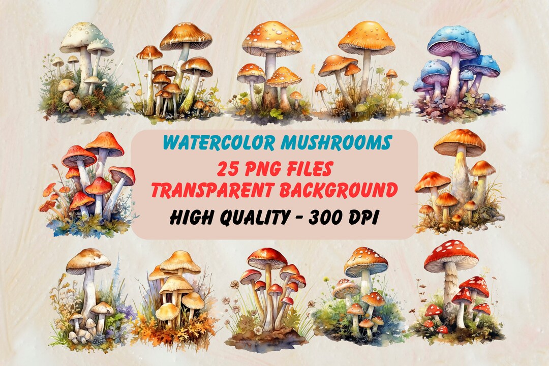 Mushrooms PNG Forest Clipart Botanical Prints Watercolor - Etsy