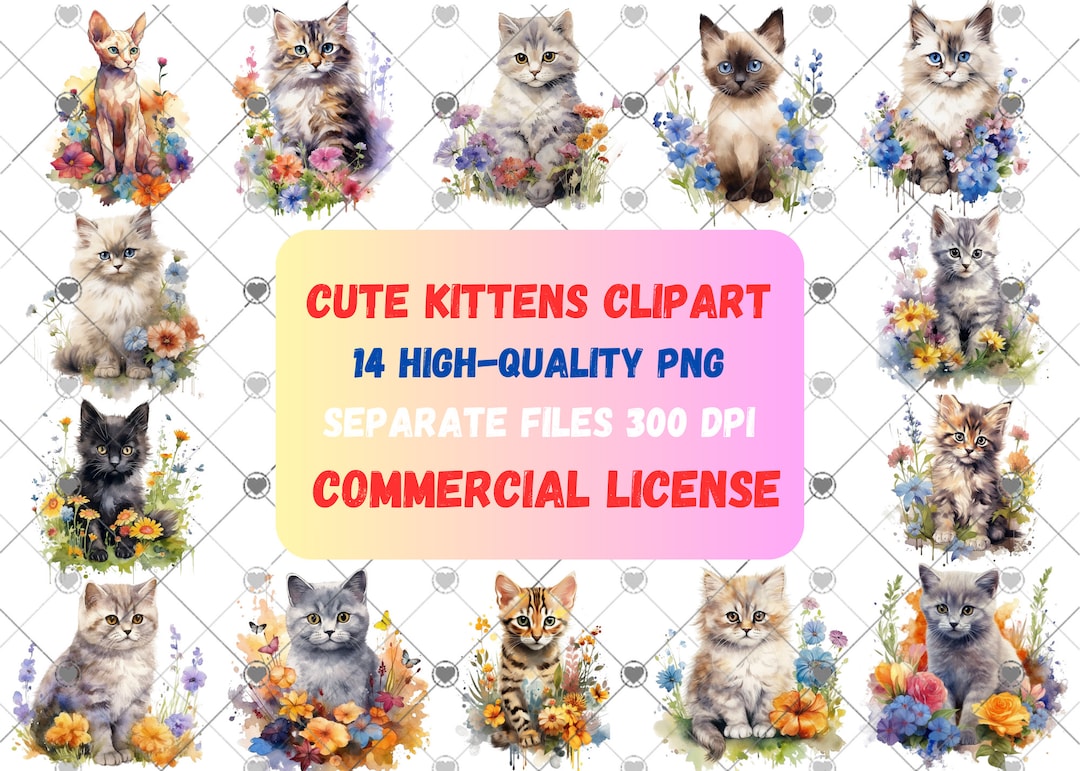 Cute Kitten Clipart Bundle whiskers and Paws 14 High-quality PNG Files ...