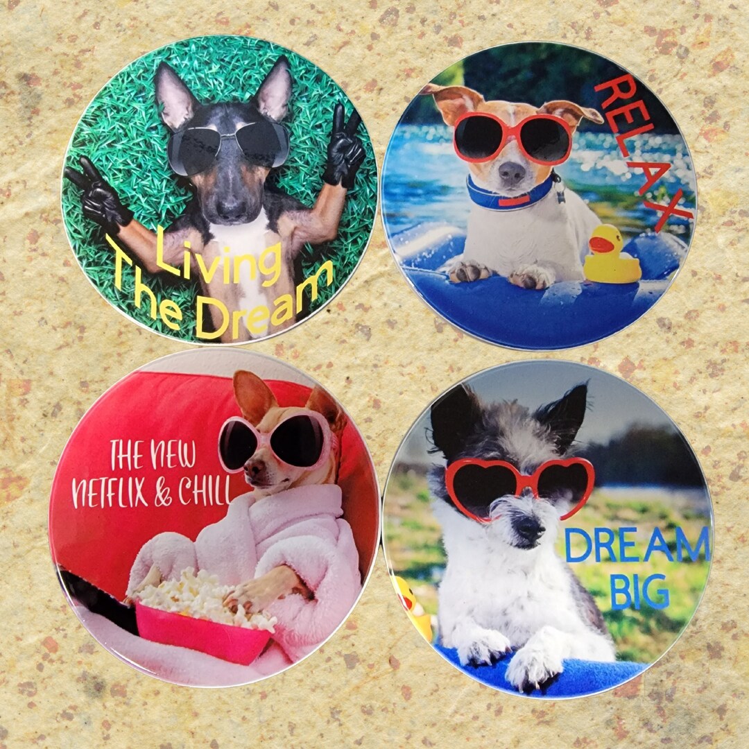 Set of 4 Funny Dog Coasters; Drink Coasters - Etsy