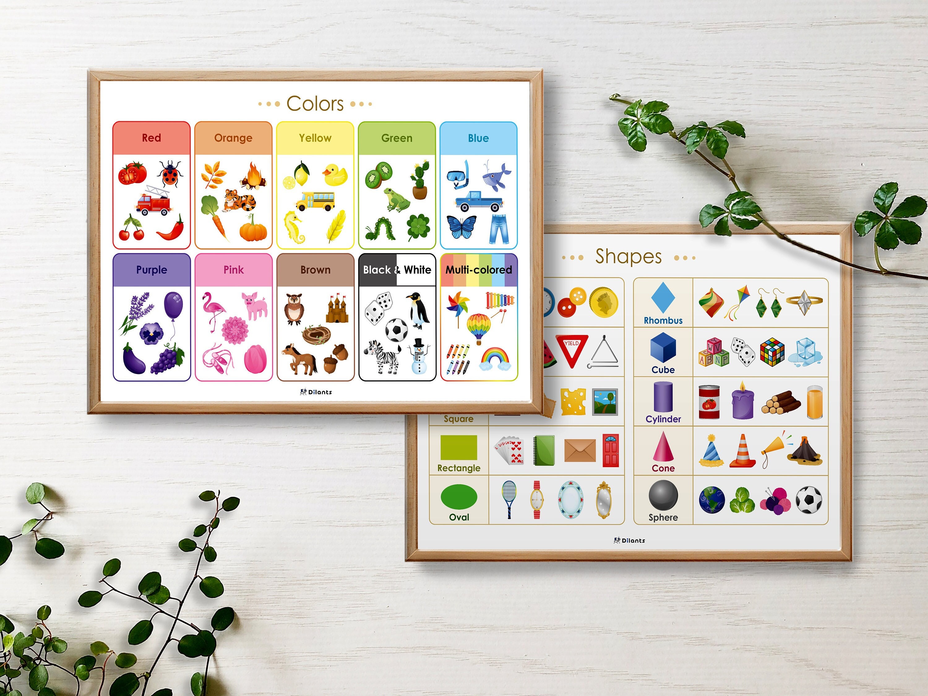 Color Poster Shapes Poster Bundle Color Chart Shape Chart - Etsy