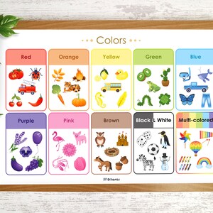 Color Poster Shapes Poster Bundle Color Chart Shape Chart Printable Set ...