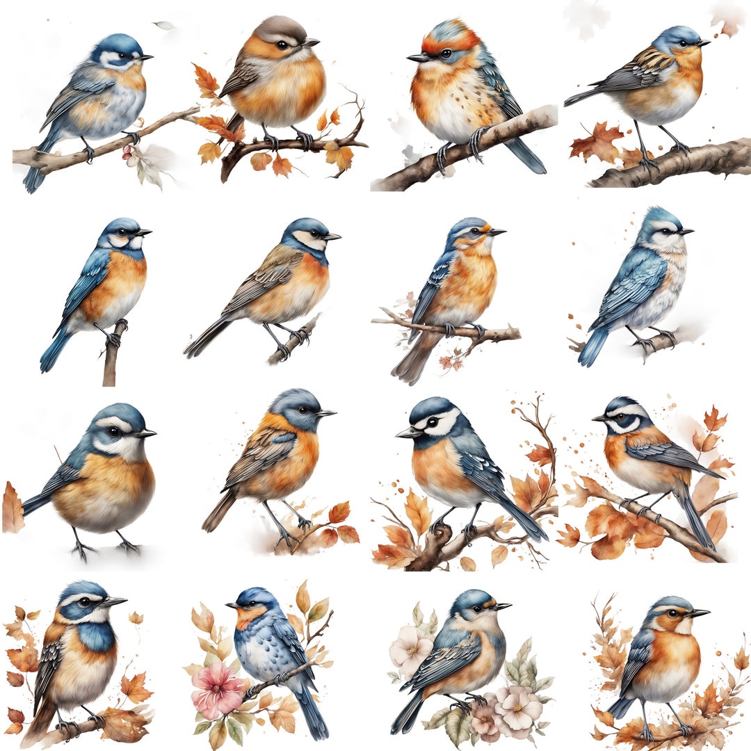 95 Autumn Fall Birds Bundle PNG Sublimination JPEG Bird - Etsy