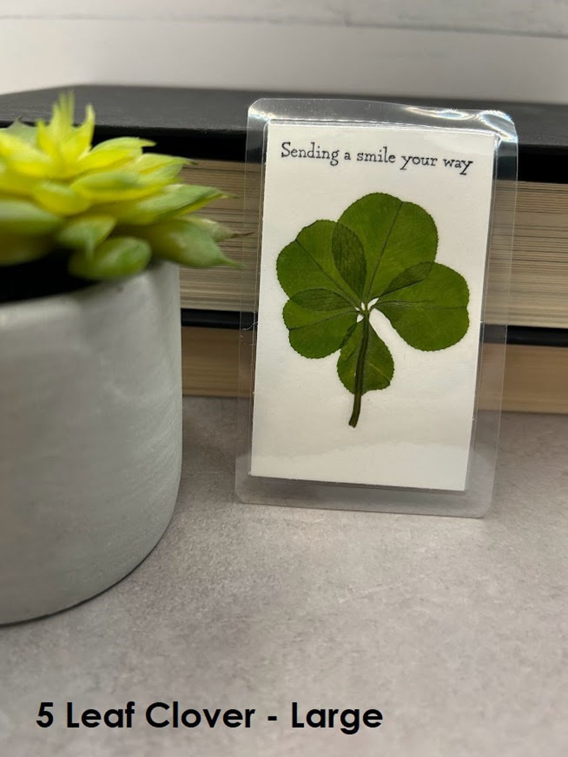 5 LEAF CLOVER Hand-picked Wild Clover Dried Clover Pressed Flower Dried ...