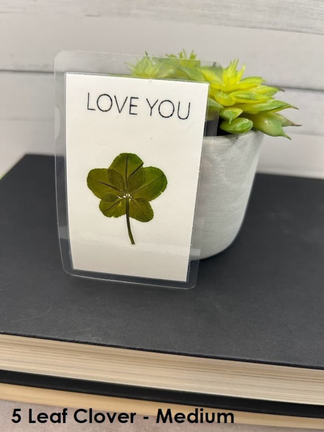 5 LEAF CLOVER | Hand-picked | Wild Clover | Dried Clover | Pressed ...