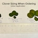 5 LEAF CLOVER Hand-picked Wild Clover Dried Clover Pressed Flower Dried ...