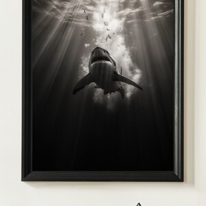 Shark Wall Art, Stunning Shark Poster for Sale, Perfect Wall Art for ...