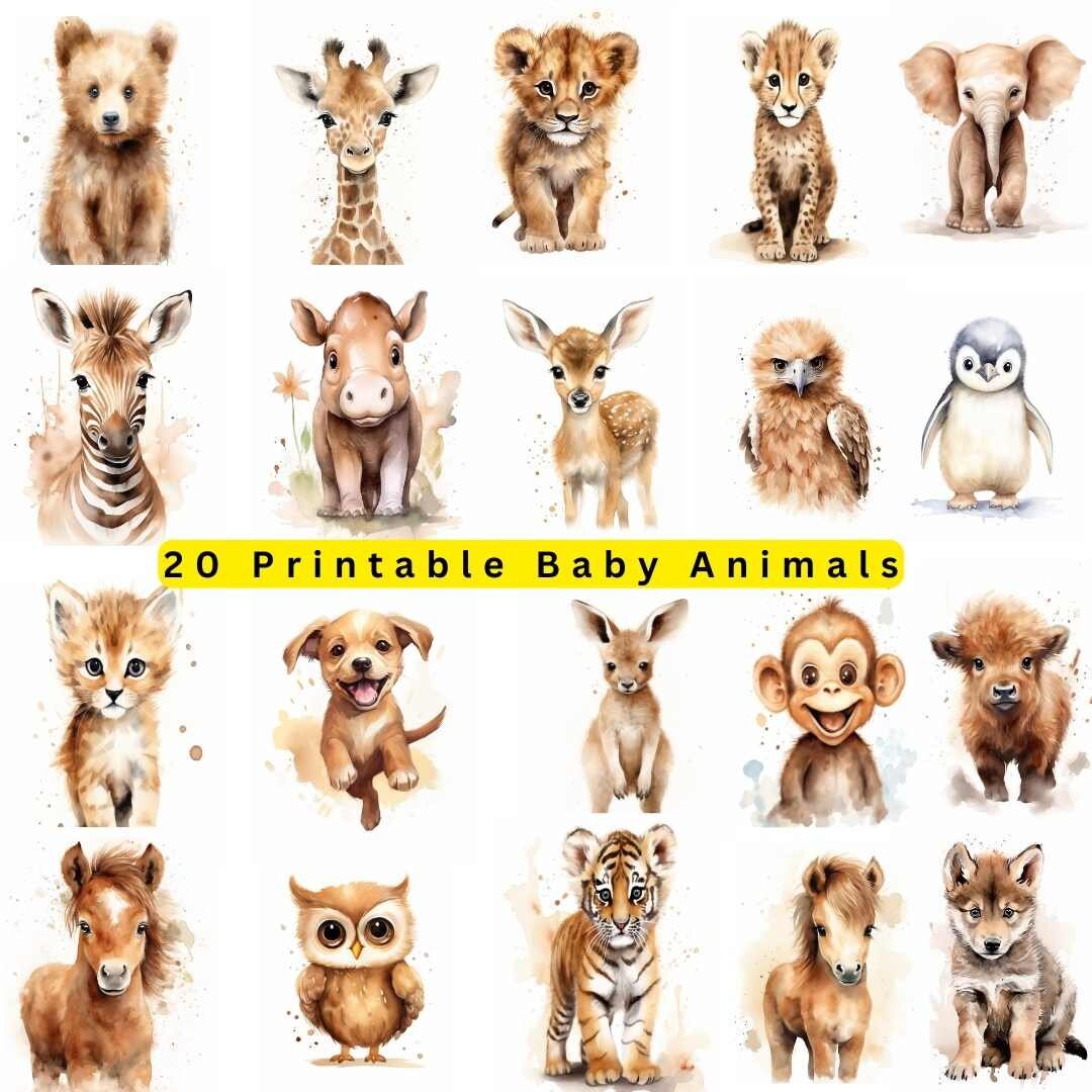 Numbers Poster Animals, Cute Nursery Animals Counting, Educational Kids ...