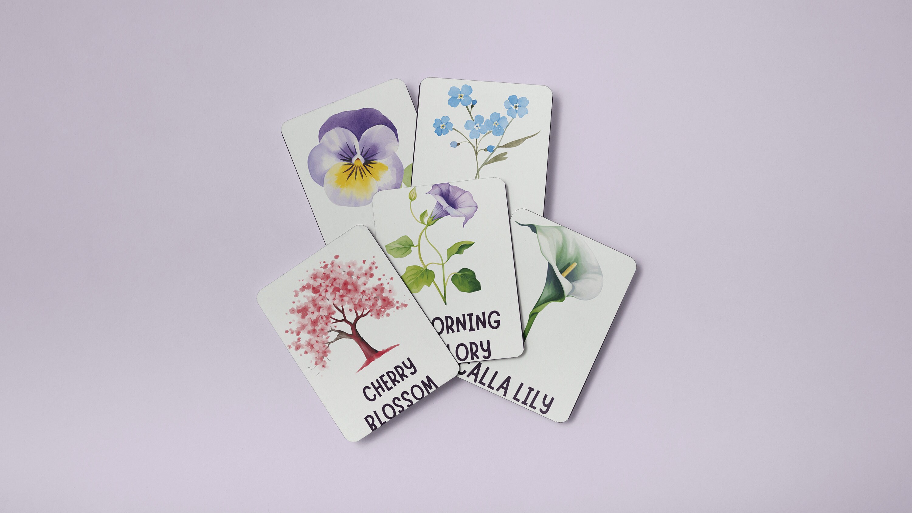 20printable Watercolor FLOWER Flashcards montessori Flash - Etsy