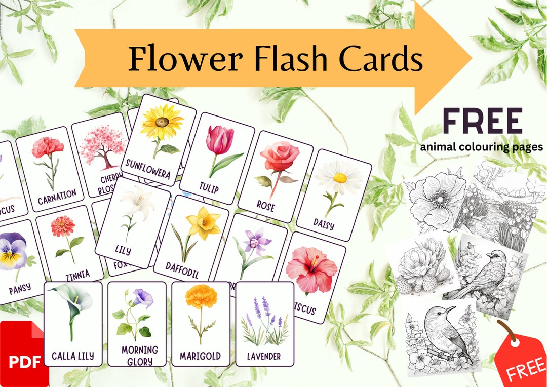 20printable Watercolor FLOWER Flashcards montessori Flash - Etsy