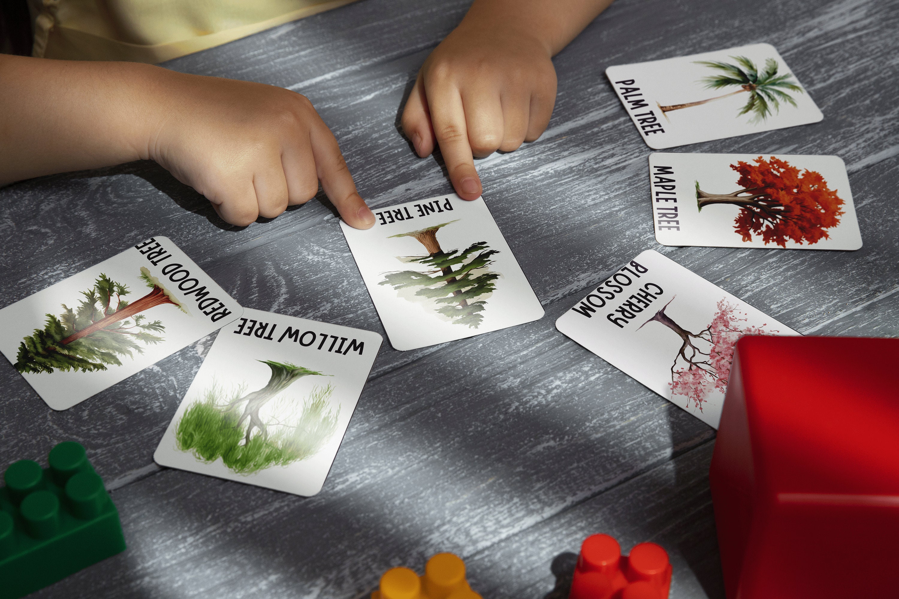 17 Printable Watercolor Tree Flashcards Trees Montessori . - Etsy