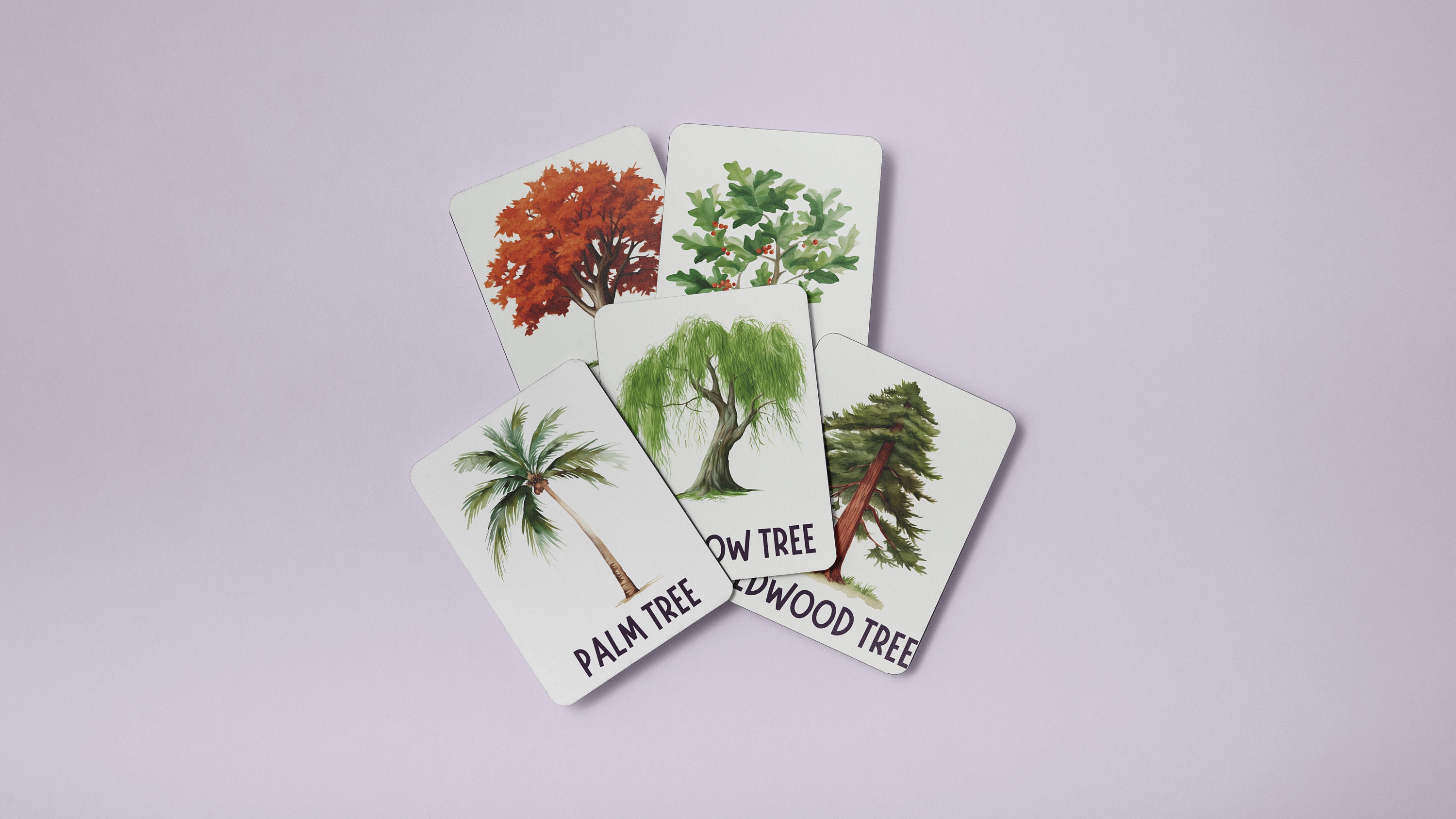 17 Printable Watercolor Tree Flashcards Trees Montessori . - Etsy