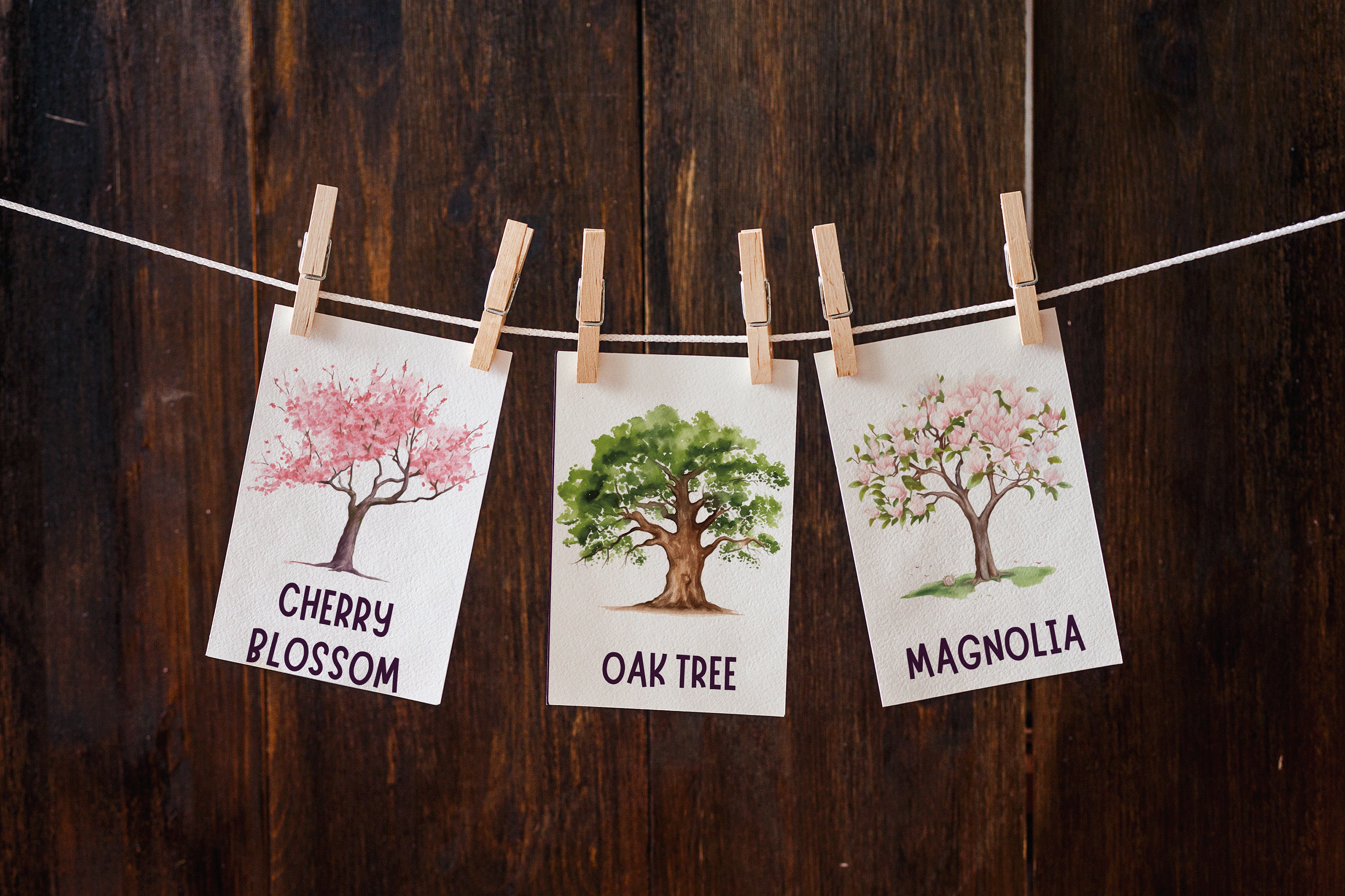 17 Printable Watercolor Tree Flashcards Trees Montessori . - Etsy
