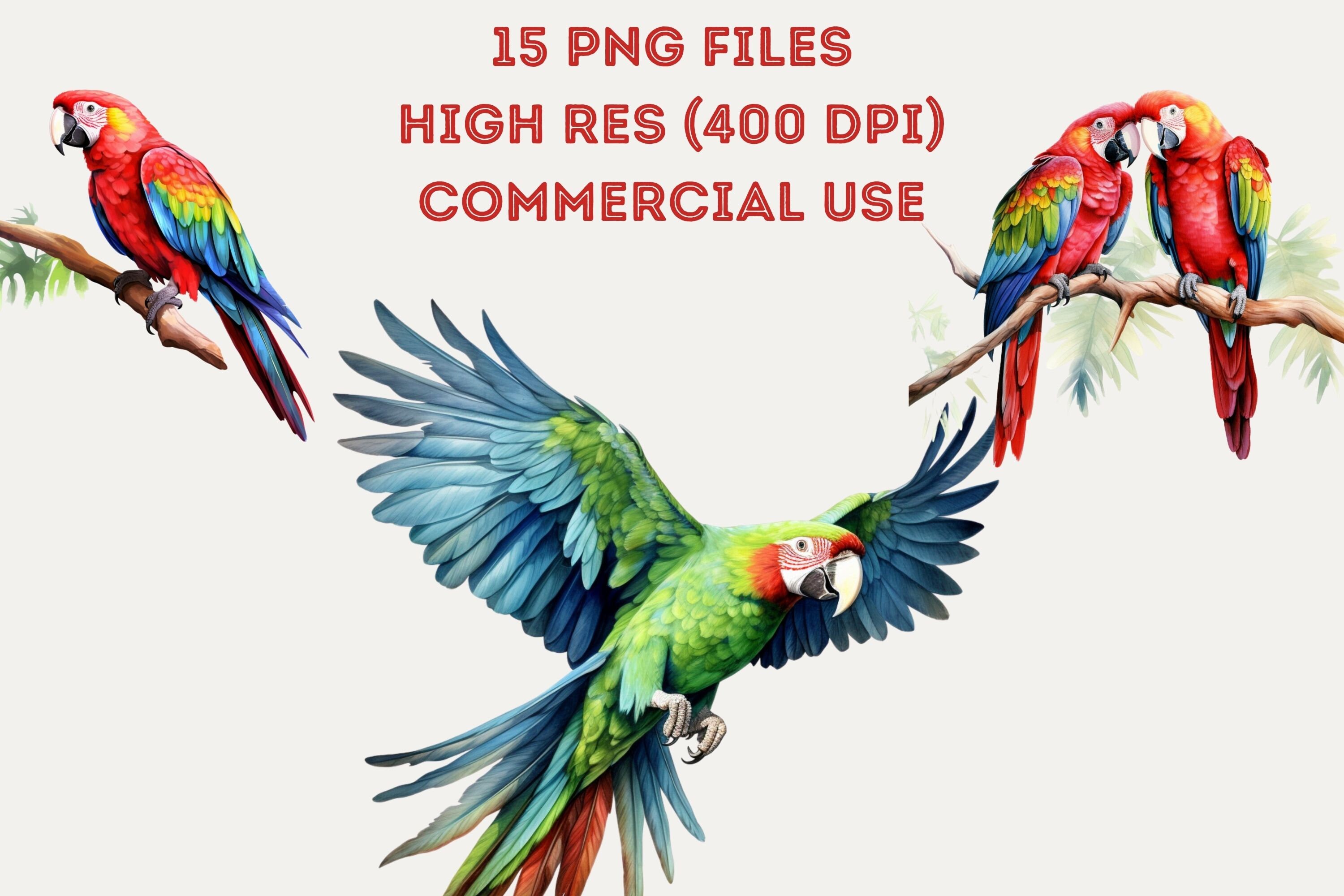Watercolor Parrot Clipart Bundle Tropical Birds PNG Bird Wall Art Bird ...