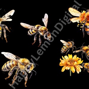 Honey Bee Watercolor Clipart Pngs for Digital Art, Scrapbooking, Print ...