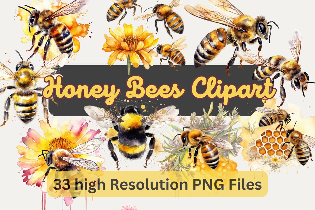 Honey Bee Watercolor Clipart Pngs for Digital Art, Scrapbooking, Print ...