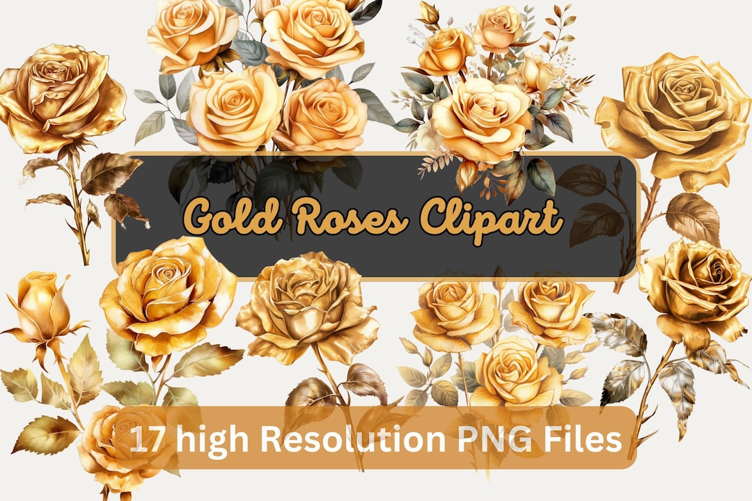 Watercolor Gold Roses Clipart Bundle Golden Roses Floral Pngs for ...