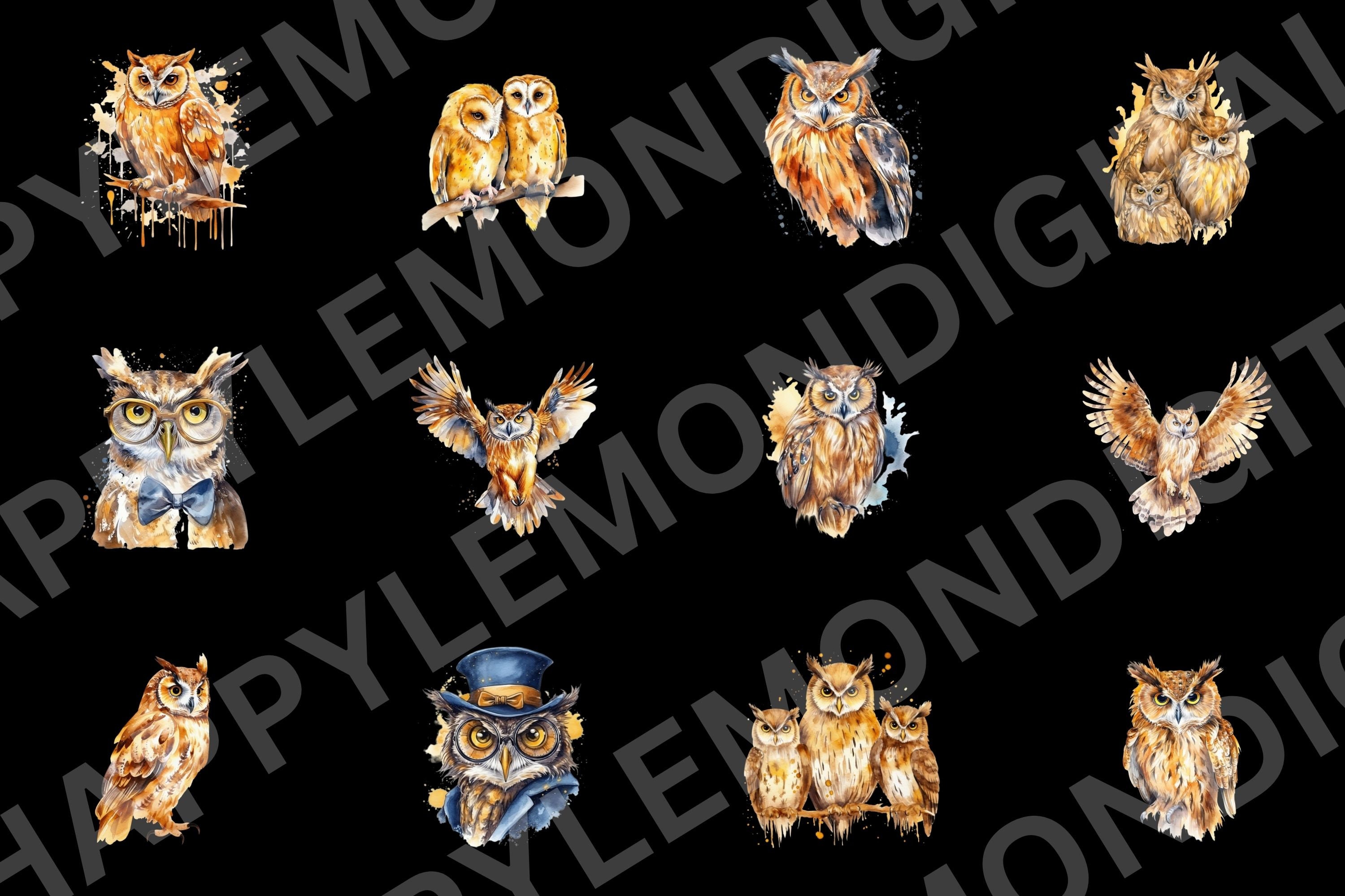 Watercolor Owl Clipart Bundle Gold Owl PNG Cute Baby Owl - Etsy