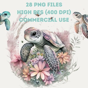 Sea Turtle Watercolor Clipart Bundle, Nautical Ocean Animals PNG for ...