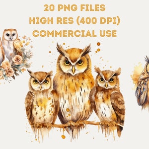 Watercolor Owl Clipart Bundle, Gold Owl PNG, Cute Baby Owl Clipart ...