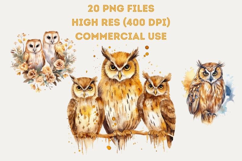Watercolor Owl Clipart Bundle, Gold Owl PNG, Cute Baby Owl Clipart ...