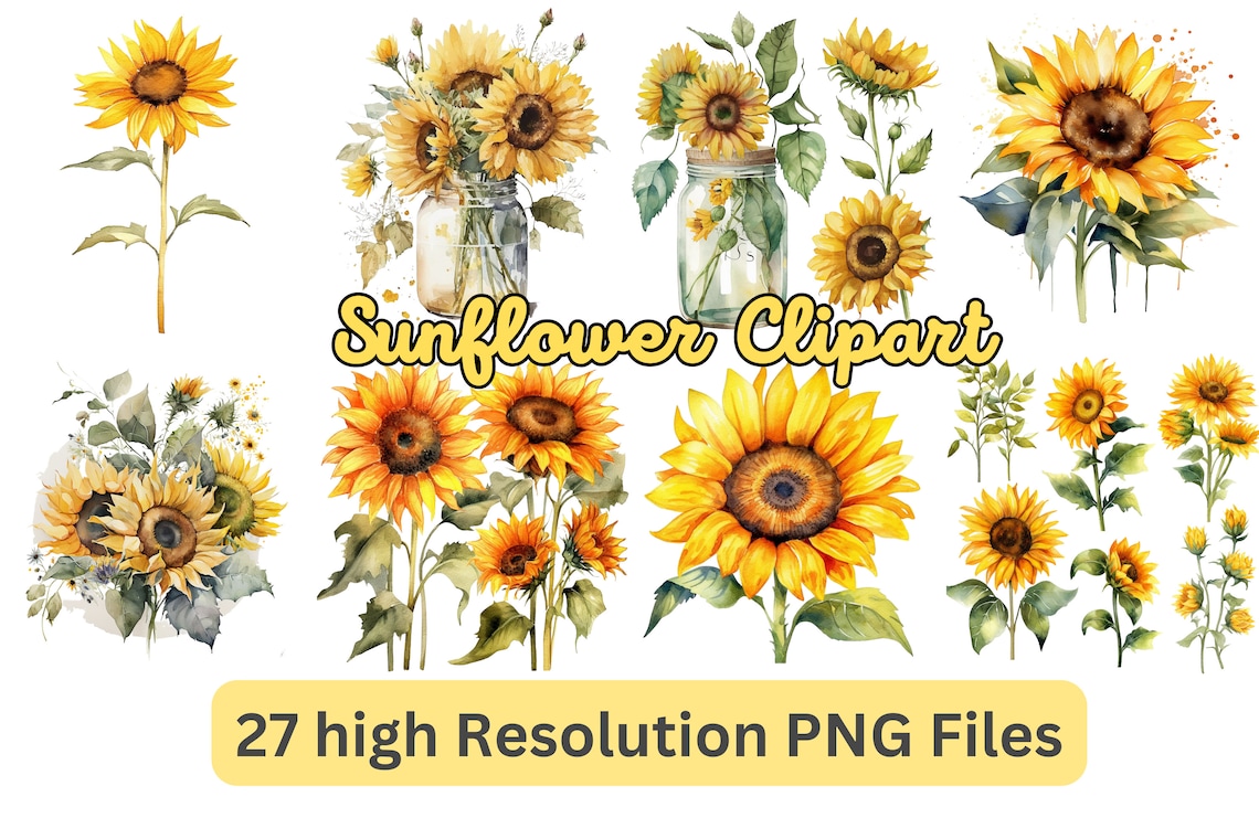 Sunflower Watercolor Clipart Bundle Digital Wall Art Floral - Etsy