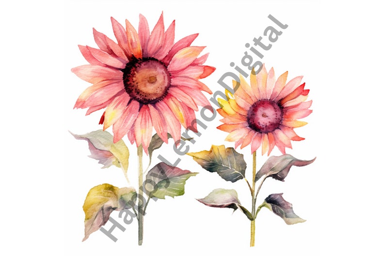 Watercolor Sunflower Clipart for Personal and Commercial Use Floral ...