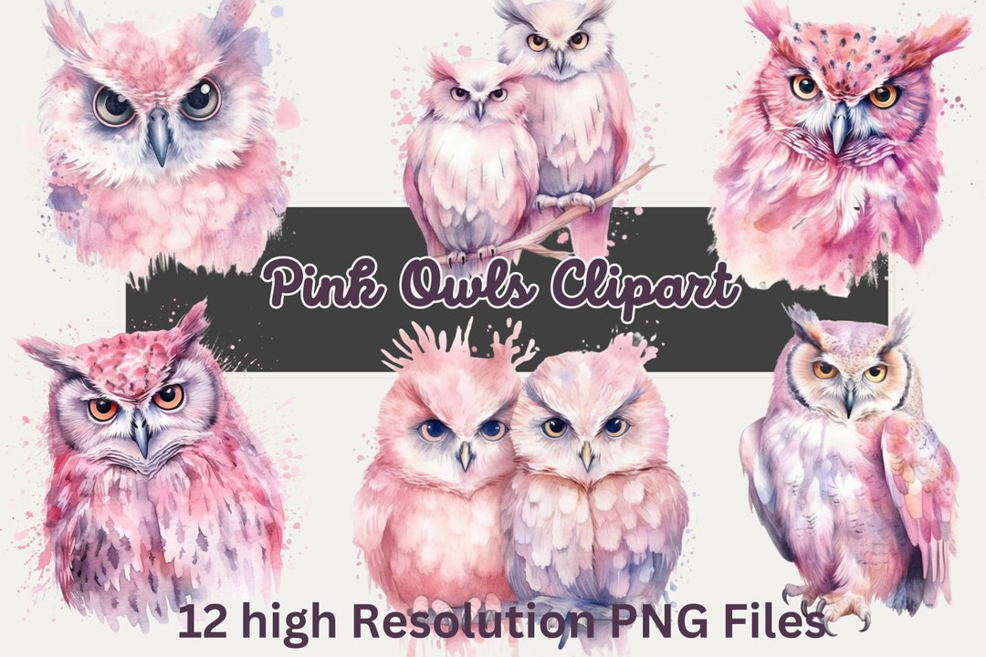 Watercolor Owl Clipart Bundle, Pink Owl PNG, Cute Baby Owl Clipart ...