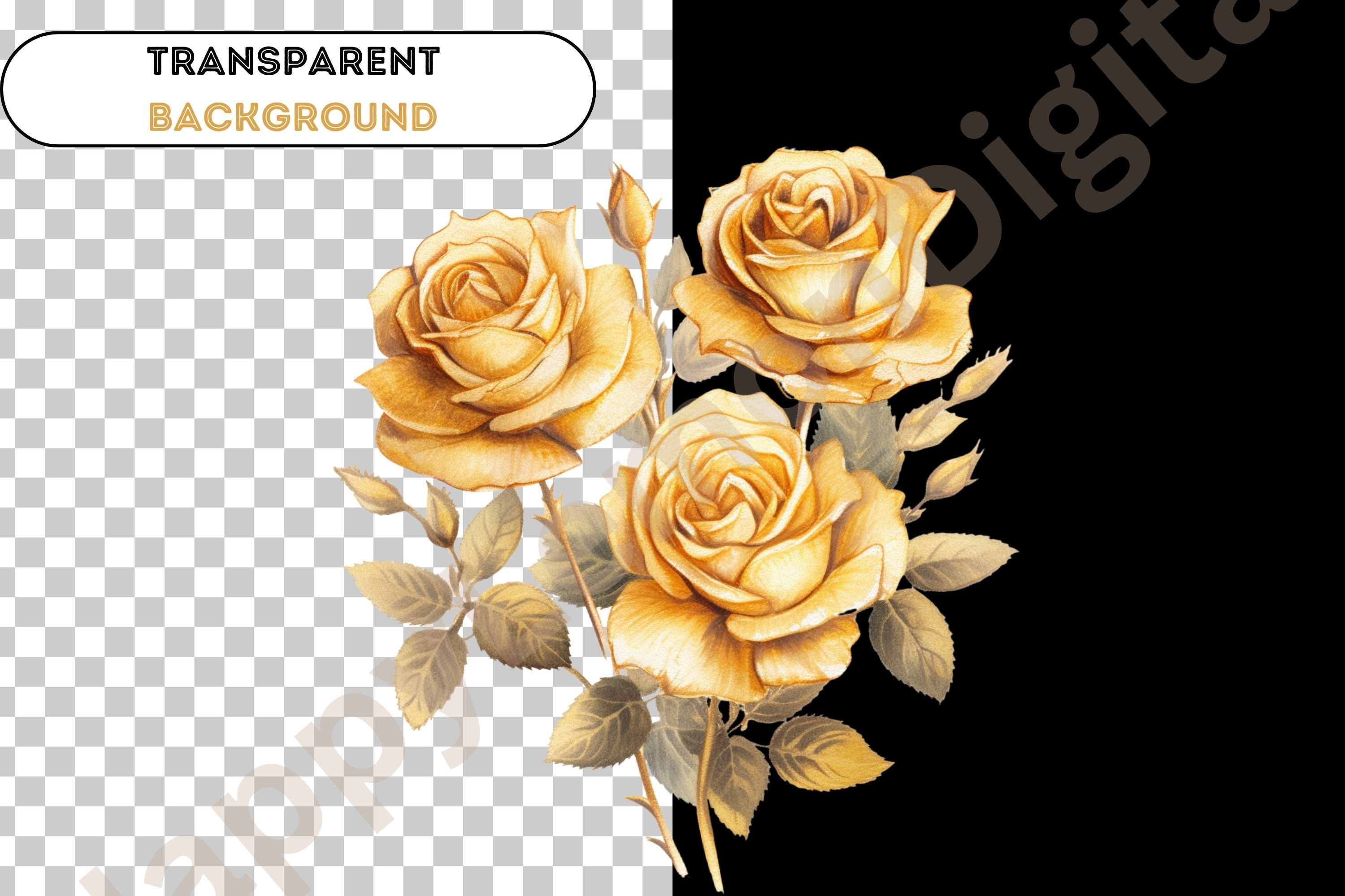 Watercolor Gold Roses Clipart Bundle Golden Roses Floral Pngs for ...