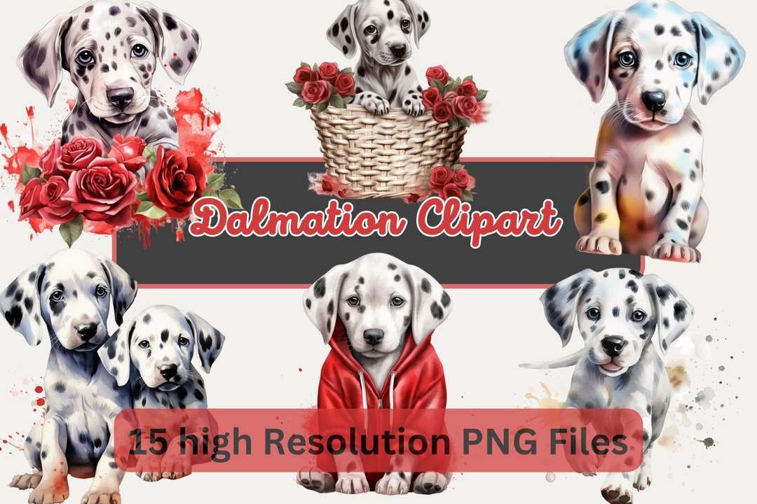 Dalmation Clipart Bundle PNG Dalmation Art Watercolor Dog Portrait ...