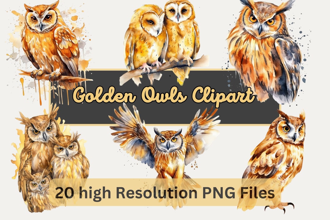 Watercolor Owl Clipart Bundle, Gold Owl PNG, Cute Baby Owl Clipart ...