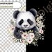 Watercolor Panda Clipart Bundle Cute Baby Pandas Digital Art - Etsy