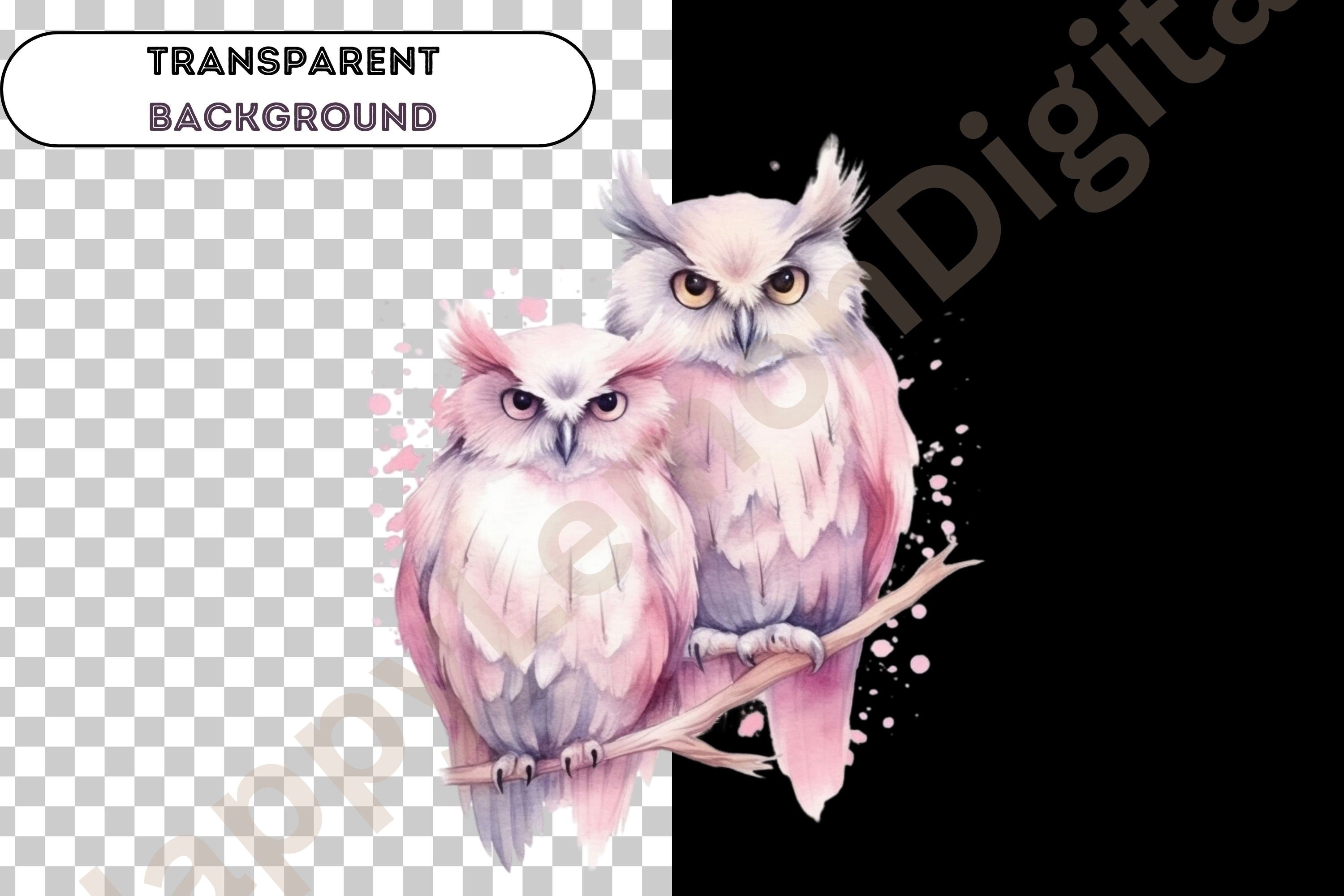 Watercolor Owl Clipart Bundle, Pink Owl PNG, Cute Baby Owl Clipart ...